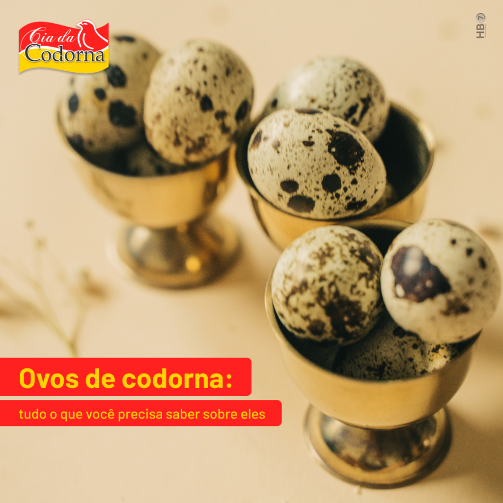 Ovos de codorna: tudo o que você precisa saber sobre eles - Cia da Codorna