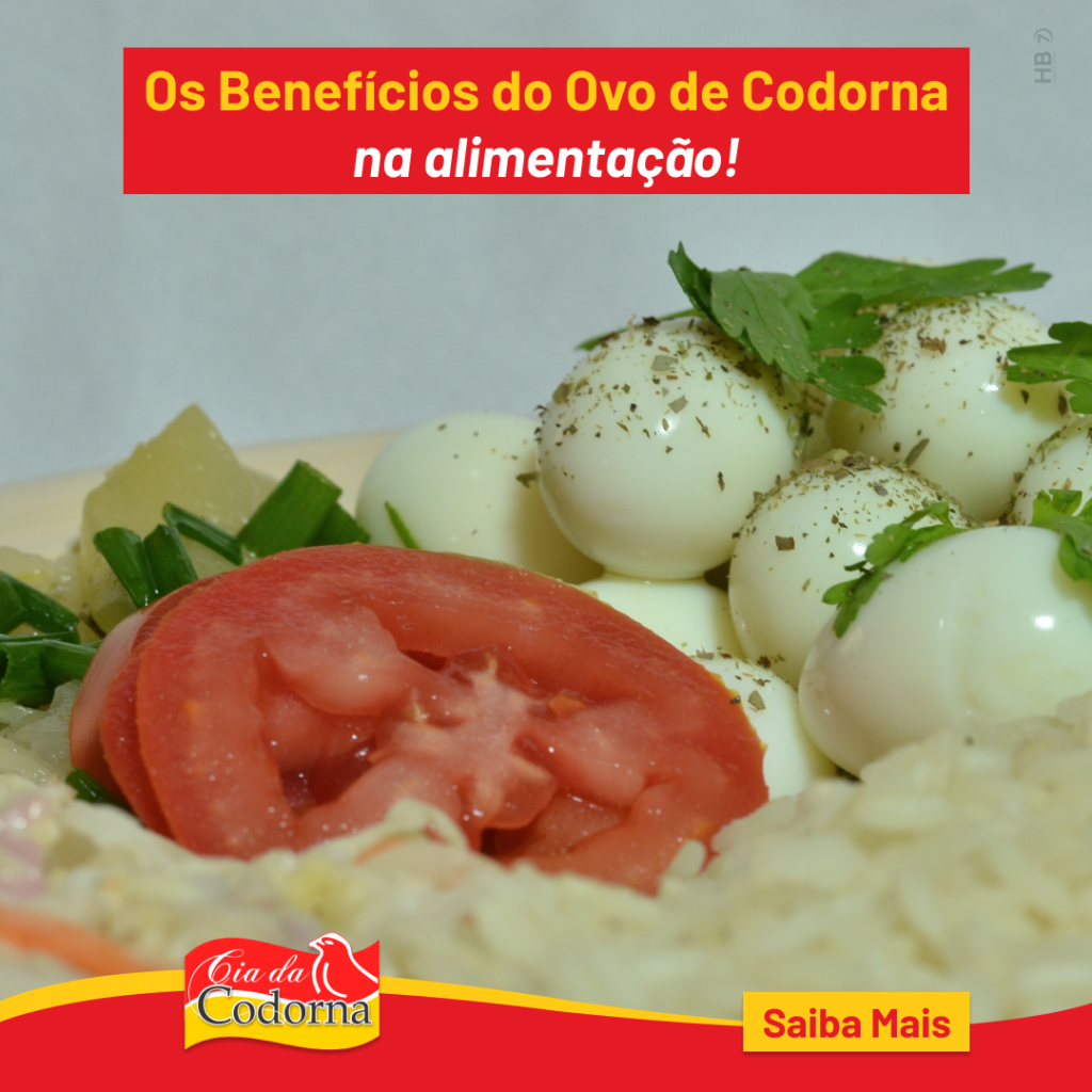 Ovos de codorna: tudo o que você precisa saber! - Cia da Codorna