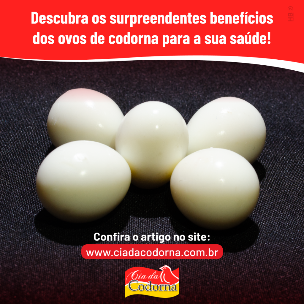 Ovos de codorna: tudo o que você precisa saber! - Cia da Codorna